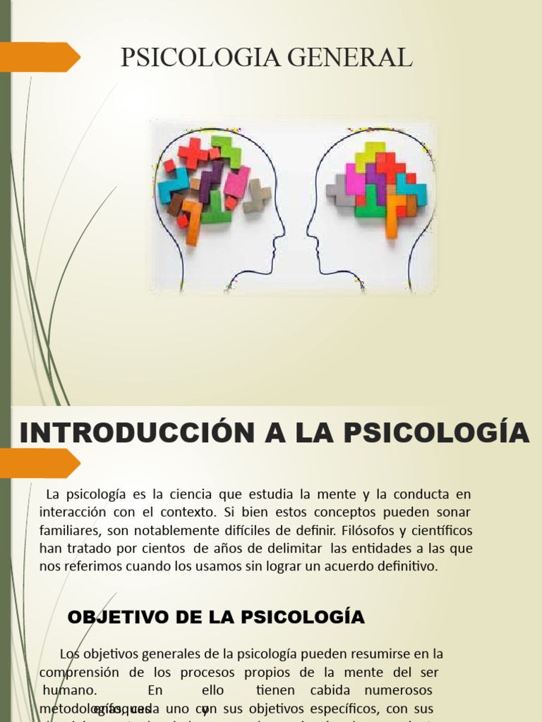 Psicologia General | PDF | Sistema nervioso | Cerebro
