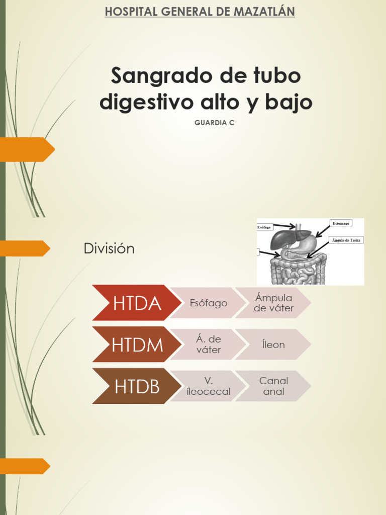Sangrado de Tubo Digestivo Alto y Bajo | PDF | Especialidades Medicas | Medicina CLINICA