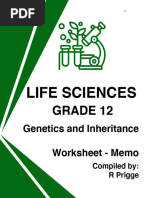 GR 12 Test Sequences and Series | PDF | Mathematics | Mathematical Analysis