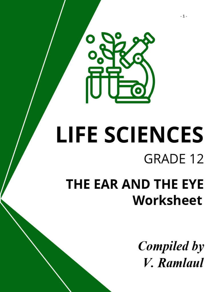 Life Sciences GR 12 Worksheet | PDF | Human Eye | Vision