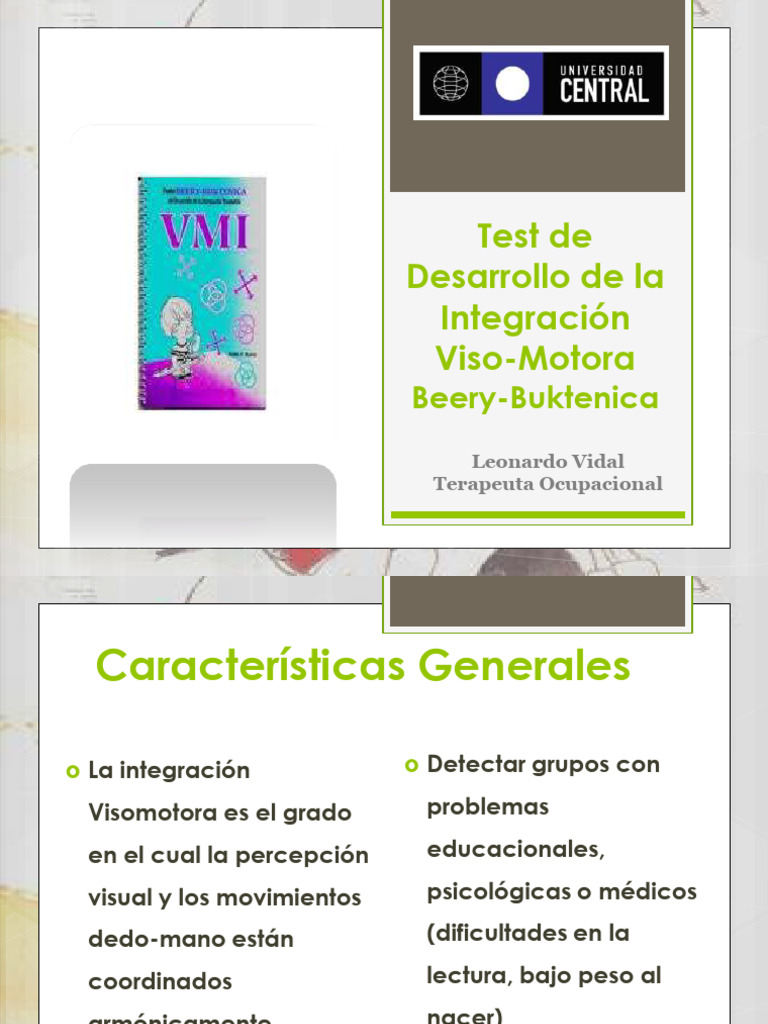 Instrucciones Aplicación VMI | PDF | Cognición | Sicología