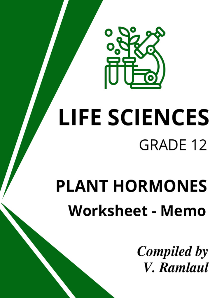 Grade 12 Plant Hormones Worksheet | PDF | Auxin | Branches Of Botany