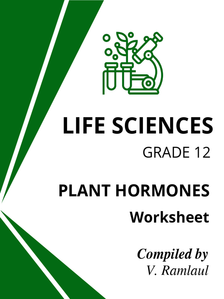 Life Sciences GR 12 Worksheet 3 | PDF | Auxin | Plant Hormone