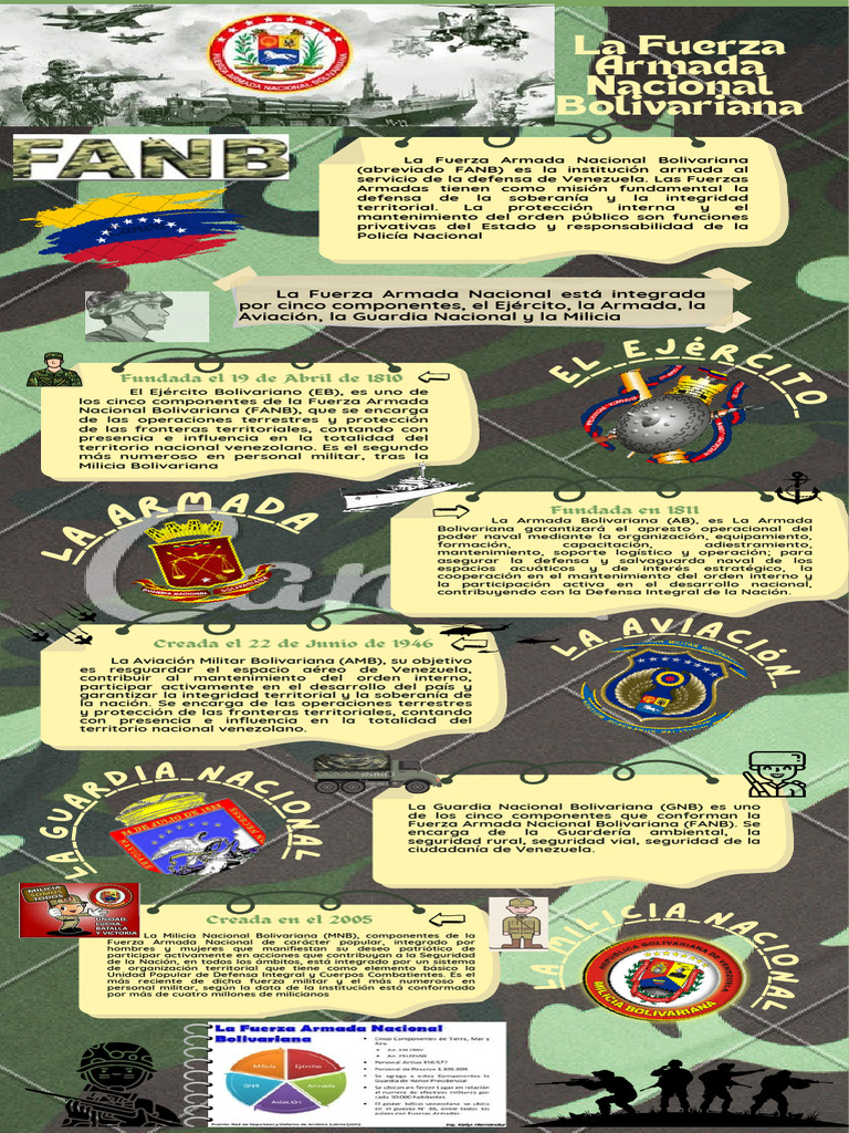 Componentes de la FANB en Venezuela | PDF | Gobierno | Política de defensa