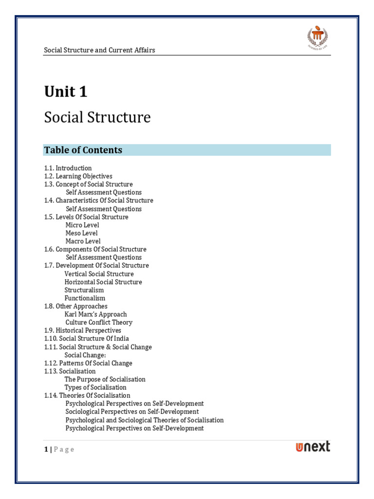 Understanding Social Structure Dynamics | PDF | Socialization | Social ...