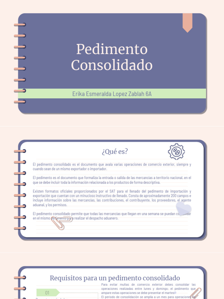 Guía del Pedimento Consolidado | PDF