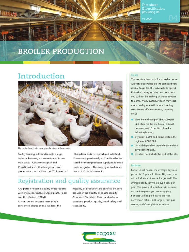 4 Poultry Broiler Production | PDF | Broiler | Poultry