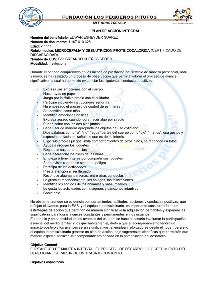 Plan de Accion Integral - Edwar | PDF | Alimentos | Terapia ocupacional
