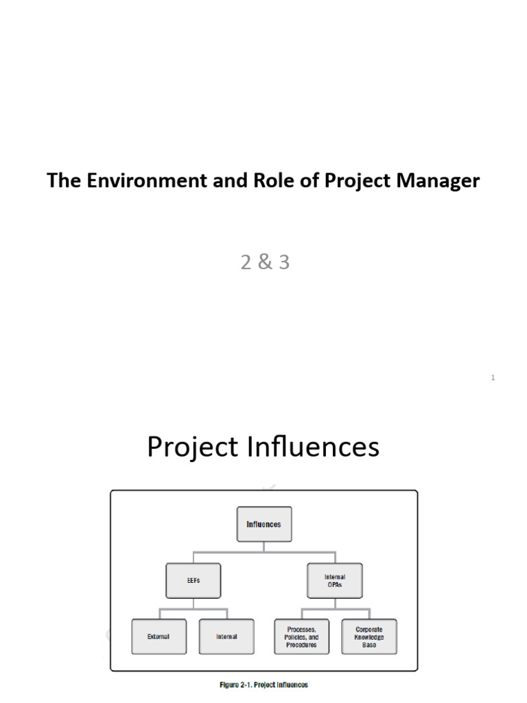 Project Manager's Role and Influences | PDF | Project Management ...