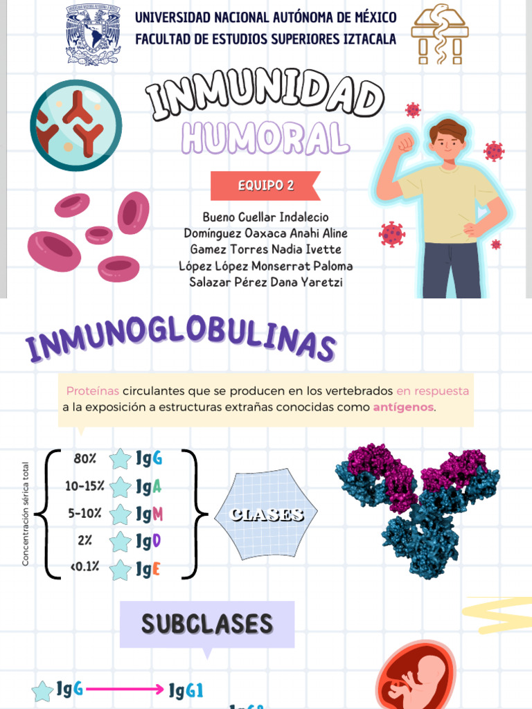 Inmunidad Humoral | PDF | Inmunología | Sistema inmune