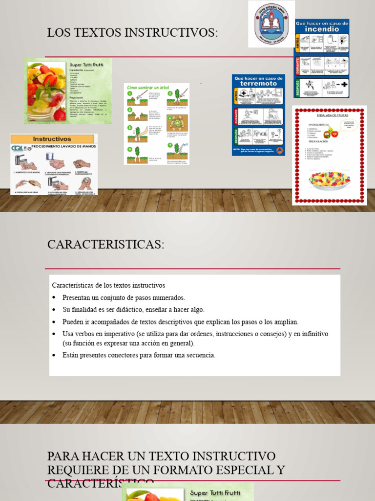 Los Textos Instructivos para El 26 de Julio Del 24 | PDF | Artes del ...