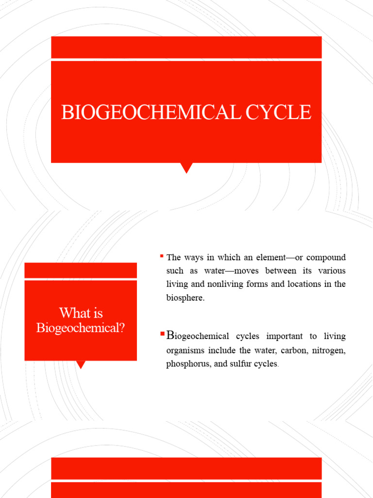 Biogeochemical Cycle | PDF | Science & Mathematics