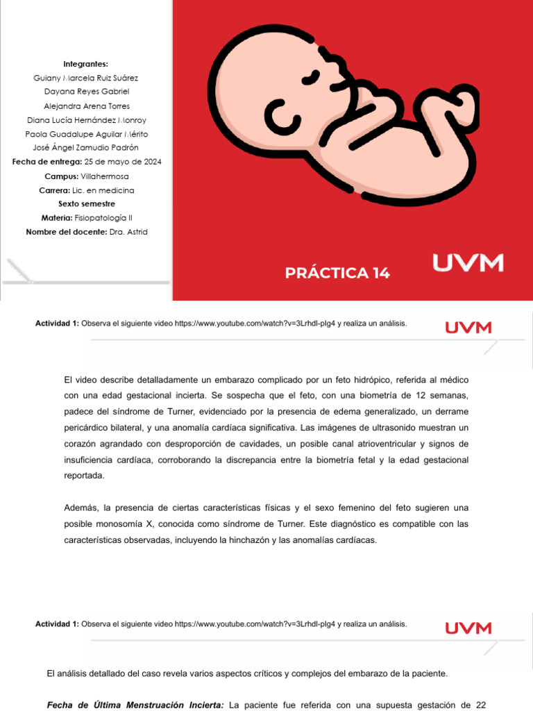 Practica 14 | PDF | El embarazo | Feto