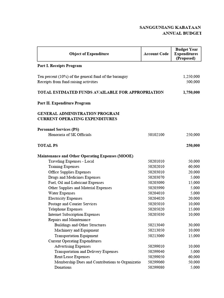 Workshop SK Budget-Preparation | PDF | Expense | Youth