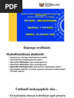 IsiXhosa P3 Grade 12 November 2024 Exam | PDF