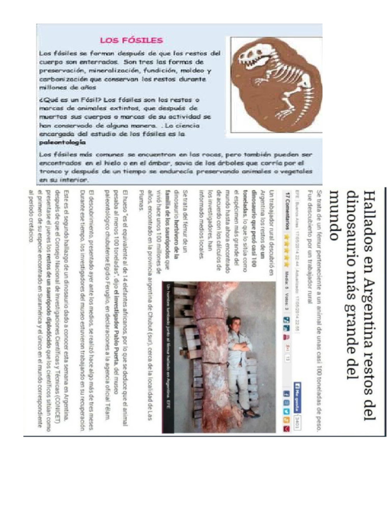 Los Fósiles | PDF