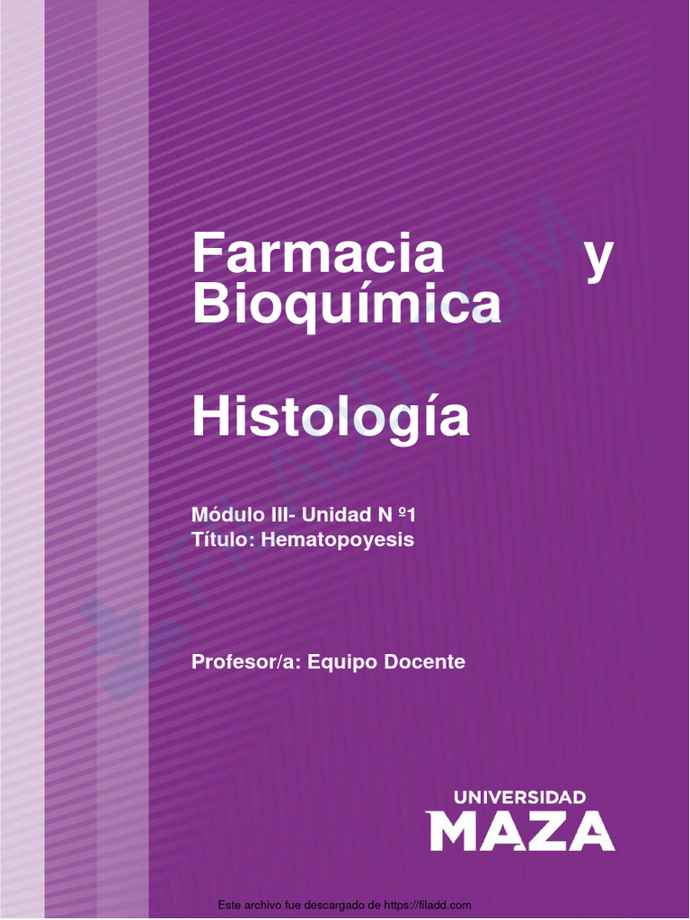 Hematopoyesis - Apunte Fcia y Bioqca | PDF | Hematopoyesis | Citocina