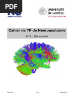 Rôle et anatomie du centre ovale cérébral | PDF | Cerveau | Cortex cérébral