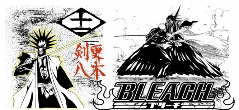 Bleach | PDF