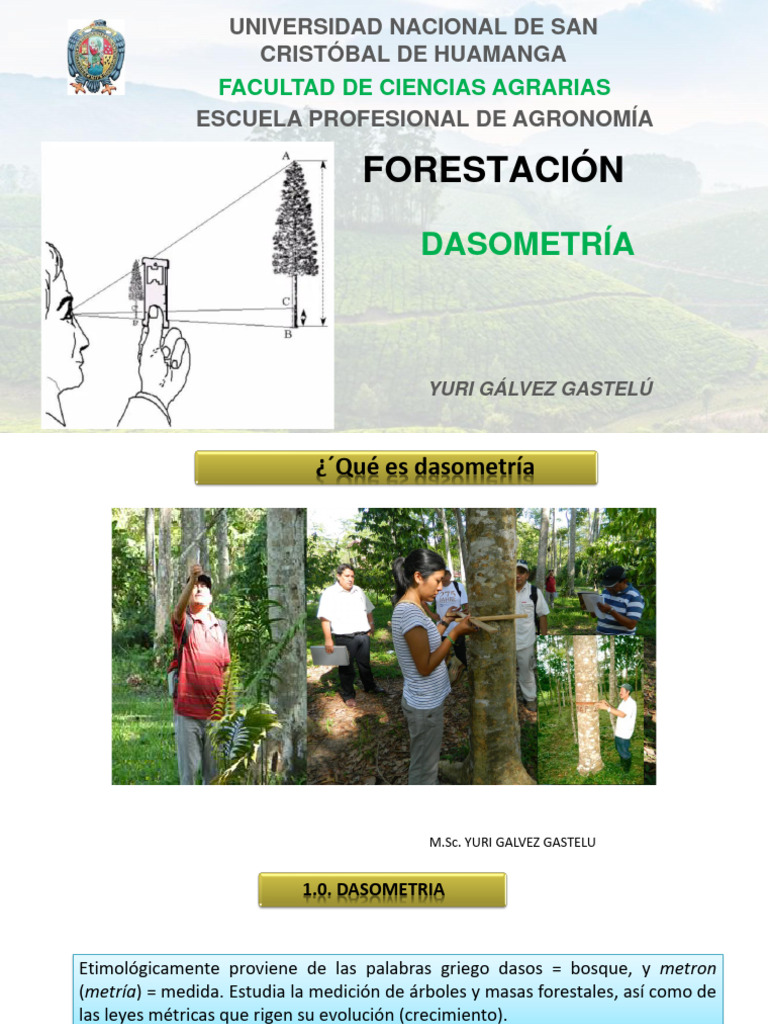 Dasometría y Medición Forestal | PDF | Arboles | Tallo de la planta
