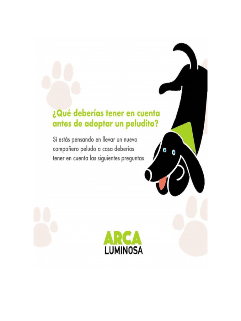 Antes de Adoptar | PDF
