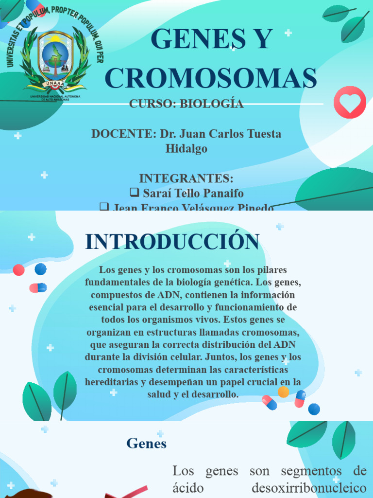 Genes y Cromosomas en Biología Genética | PDF | Adn | Gene