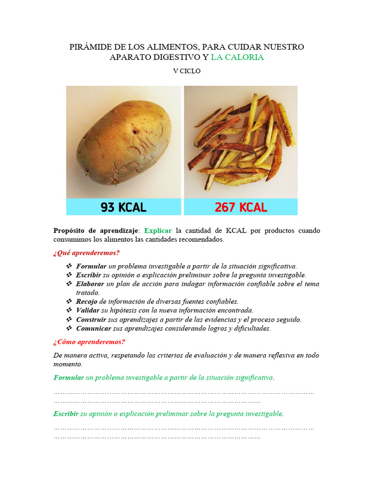 Ficha de Refuerzo V Ciclo CYT La Cantidad de Kcal | PDF | Alimentos ...