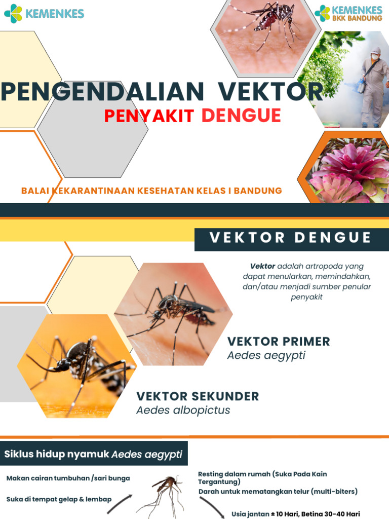 Materi 2 Pengendalian Vektor DBD | PDF | Griya & Taman