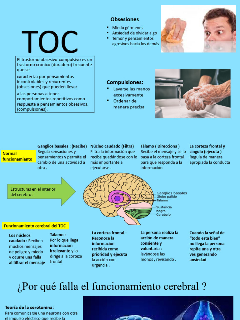 Trastorno Obsesivo Compulsivo Que Pasa en El Cerebro | PDF | Desorden obsesivo compulsivo | Cerebro