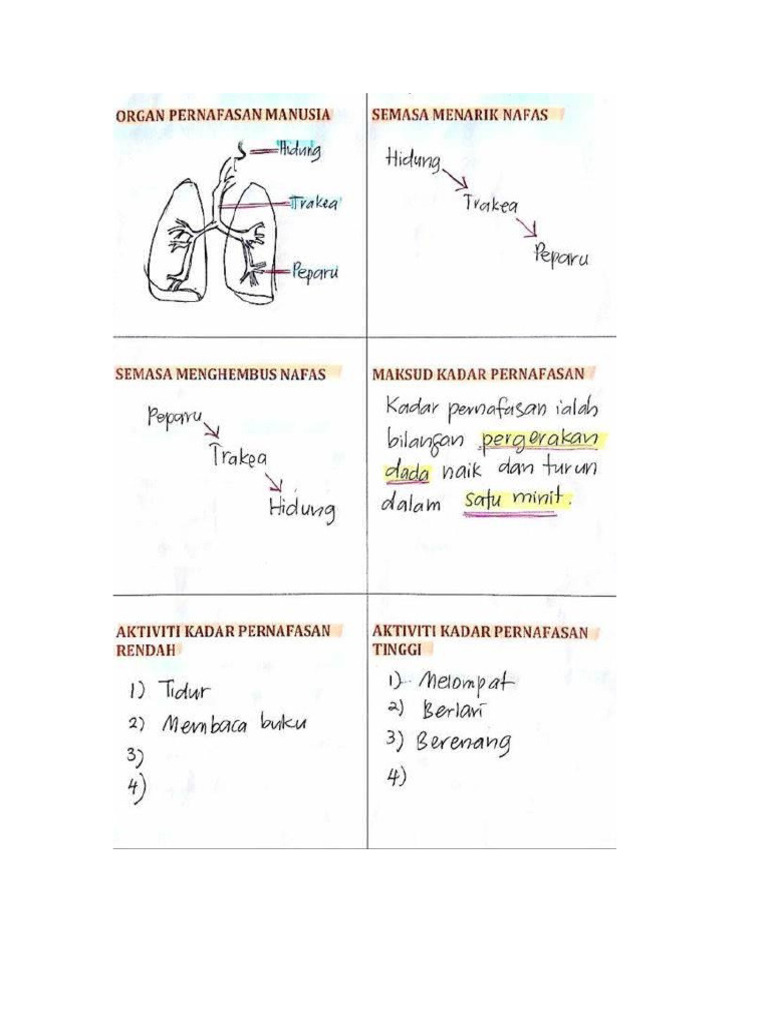 Nota Sains Upsr 1 | PDF