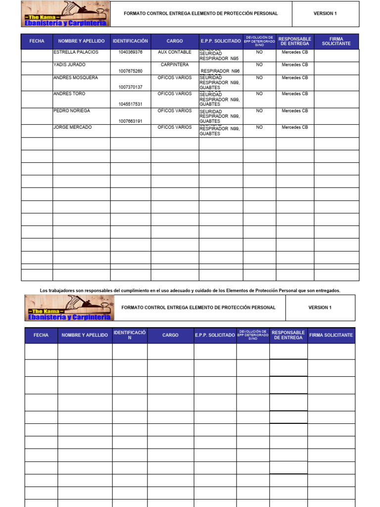 Formato Control Entrega EPP | PDF