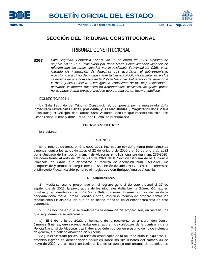 STC N115 01 | PDF | Fiscal | Caso de ley