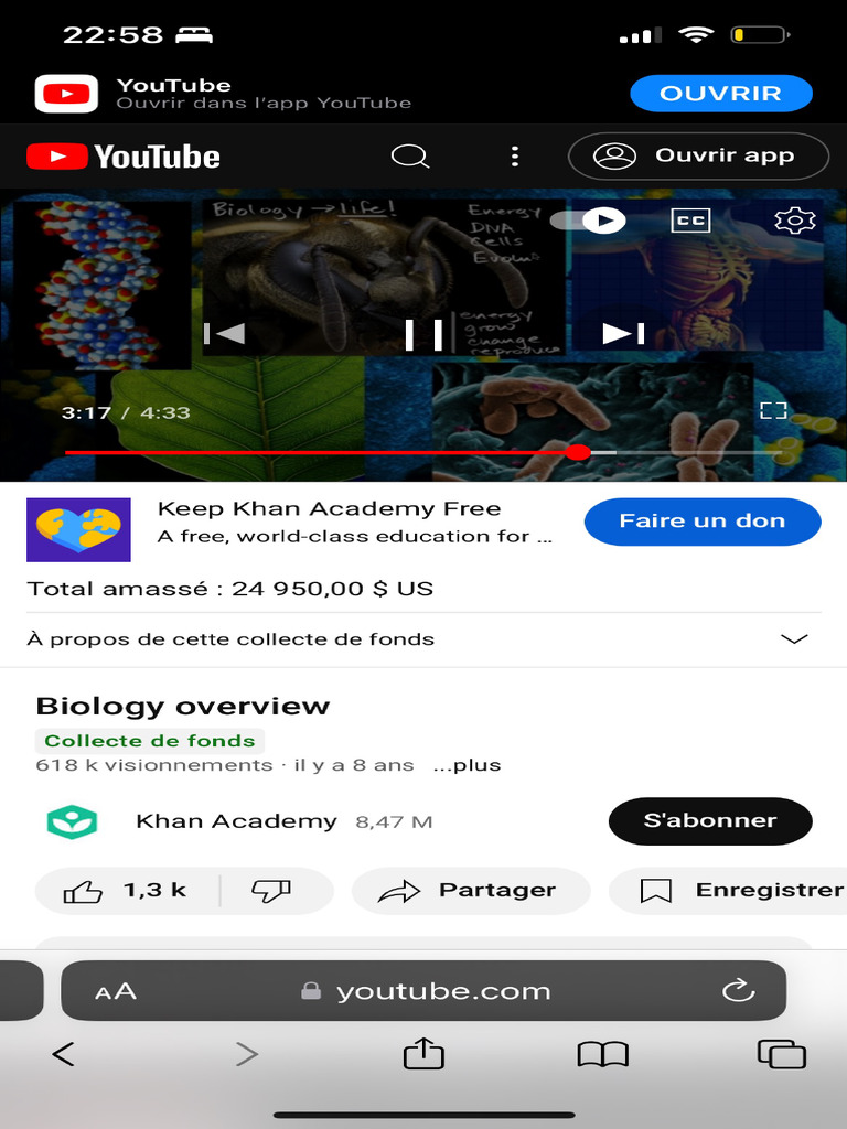 Capture D'écran | PDF