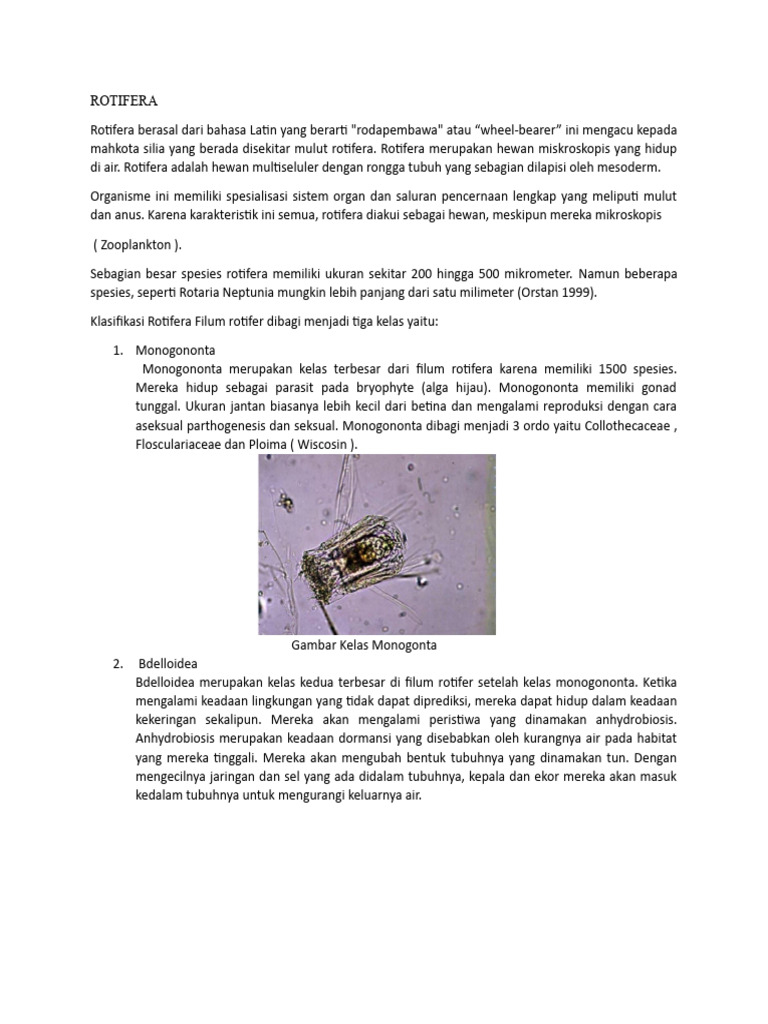 ROTIFERA | PDF | Sains & Matematika