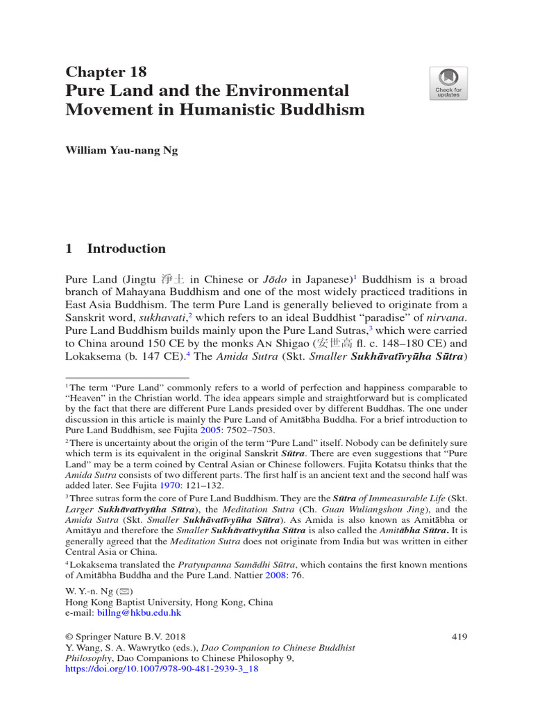 Pure Land | PDF | Transcendence (Philosophy) | Chan Buddhism