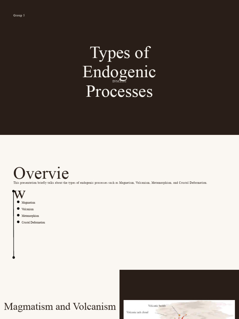 Types of Endogenic Processes | PDF