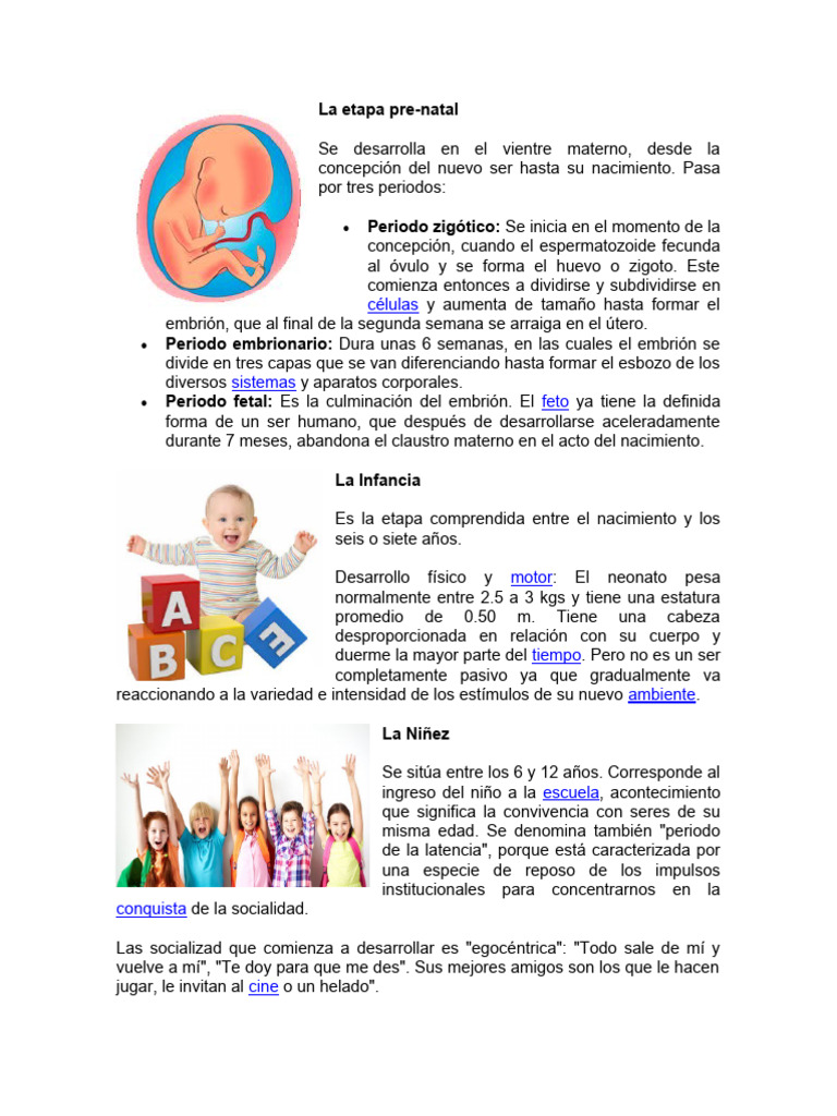 La Etapa Del Desarrollo Humano | PDF | Adolescencia | Embrión