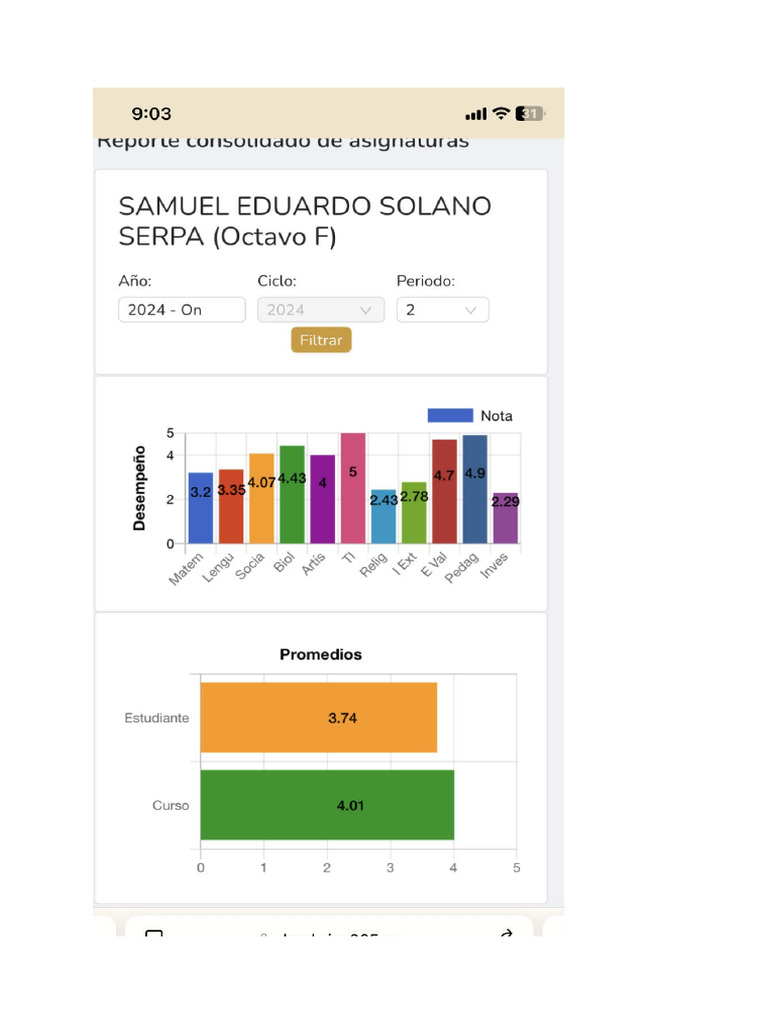 Notas Escolares | PDF