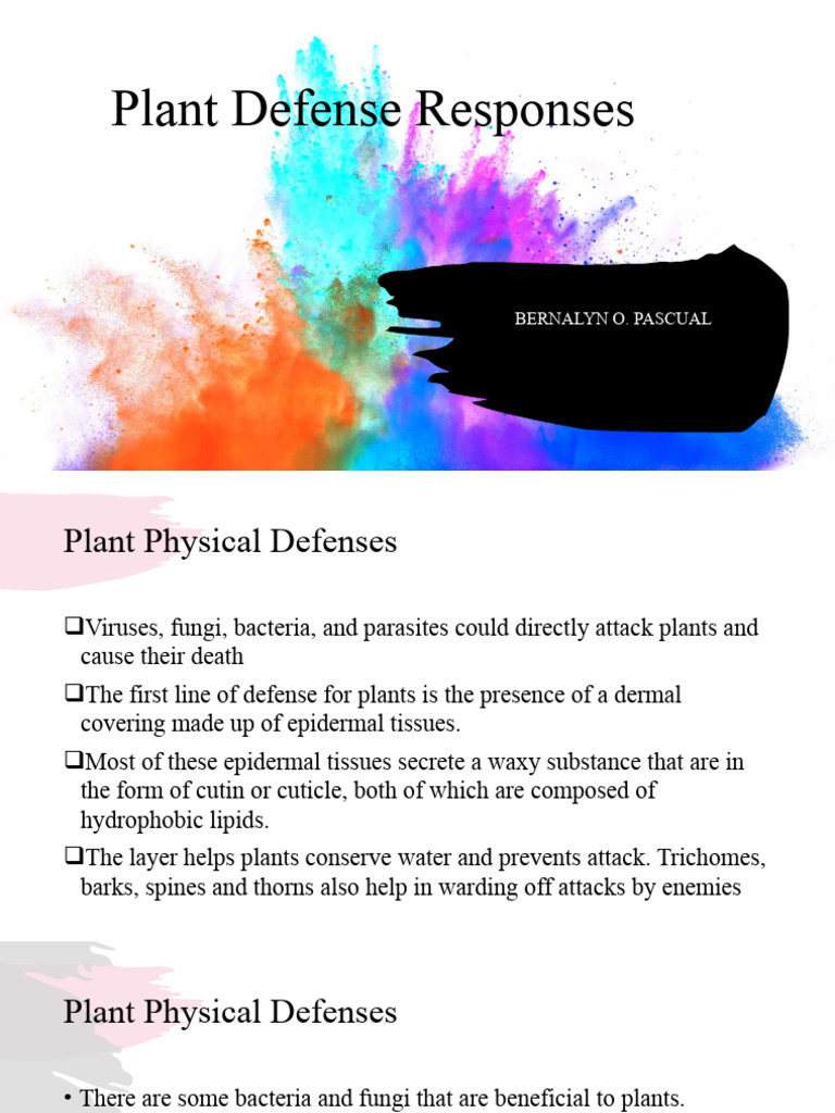 Plant Defense Responses | PDF | Plants | Botany
