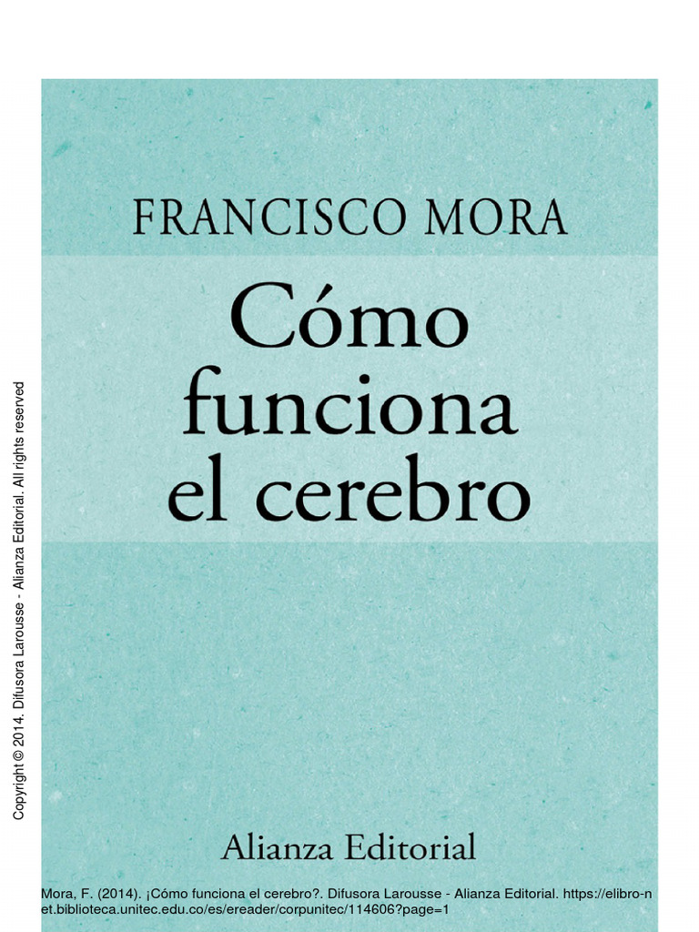 Como Funciona El Cerebro Pdf