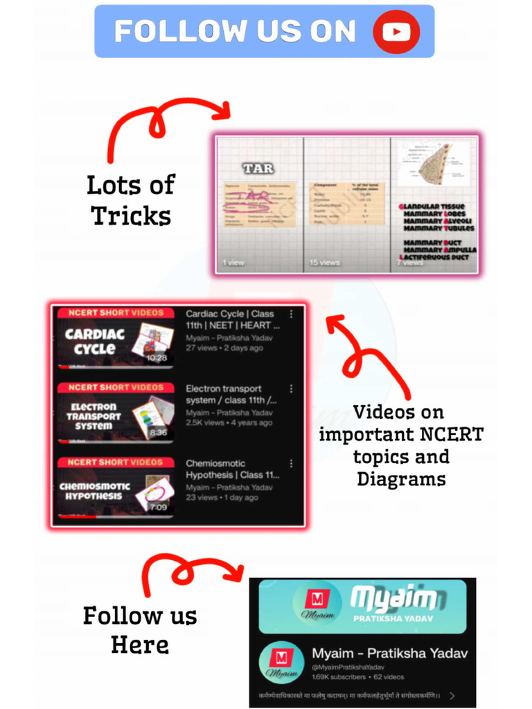 All Ncert Summaries Biology Class 11th Myaim Pratiksha Yadav | PDF ...