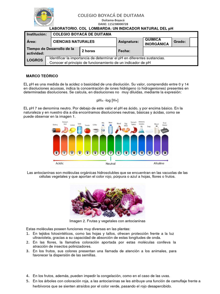 Lab. Nº2. Indicador de PH. Col Morada | PDF | Química