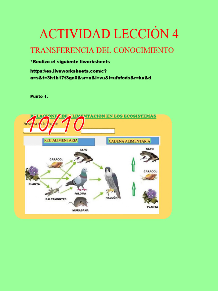 ACTIVIDAD LECCIÓN 4 | PDF