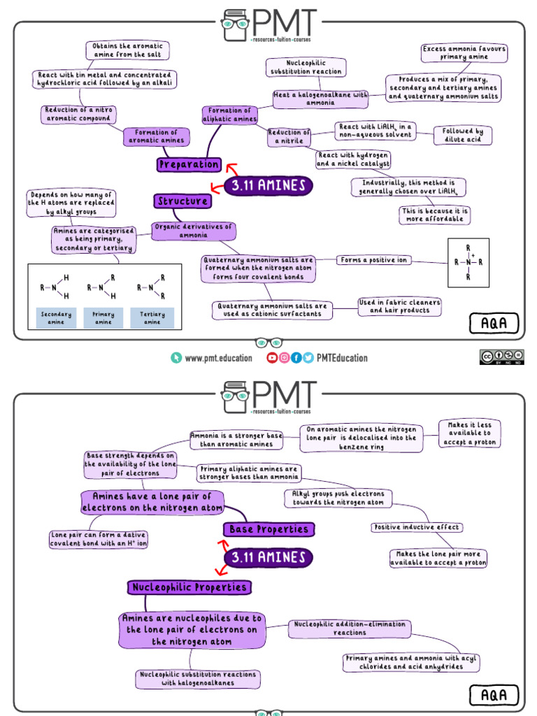 Mind-Map---Topic-3.11-Amines---AQA-Chemistry-A-level | PDF | Amine | Ammonium