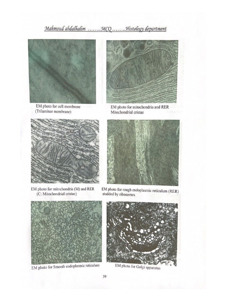 EM Photo For Cell Membrane | PDF