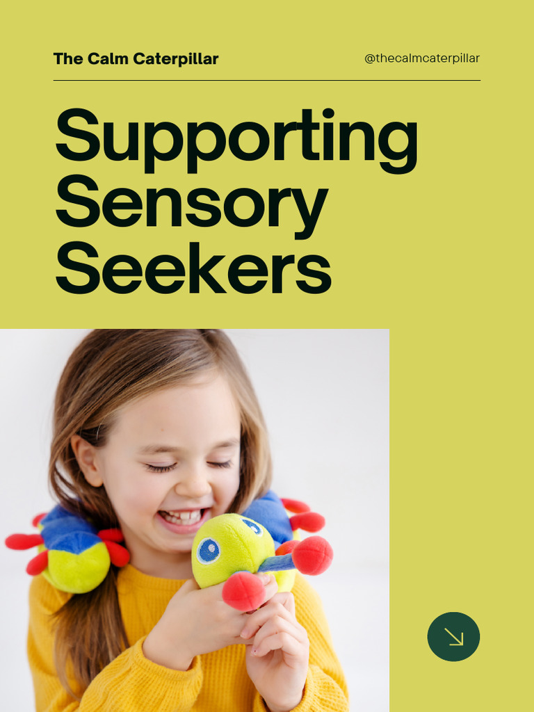 Supporting Sensory Seekers - Guidebook | PDF | Sensory Processing ...