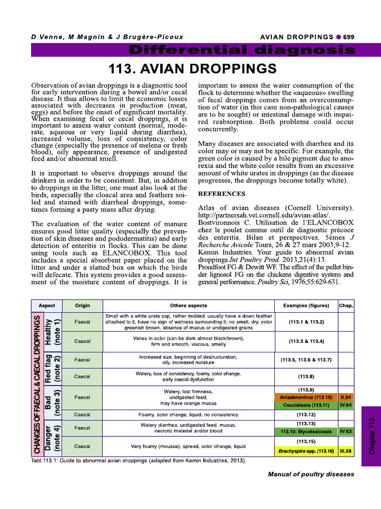 Avian Droppings Differential Diagnosis | PDF