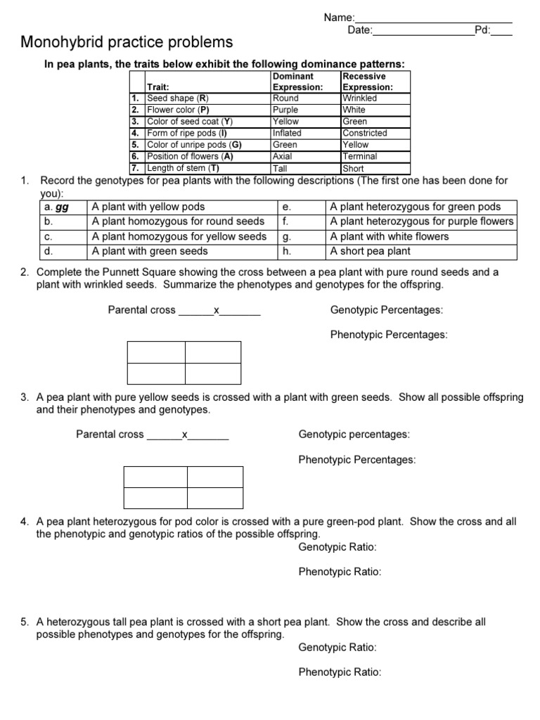 Monohybrid Practice Problems 13 14 | PDF | Genotype | Dominance (Genetics) Monohybrid Practice Problems 13 14 | PDF | Genotype | Dominance (Genetics)
