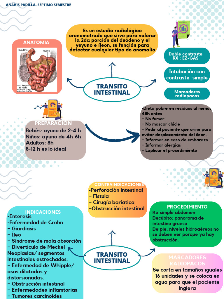 Tránsito Intestinal | PDF | Tracto gastrointestinal | Abdomen