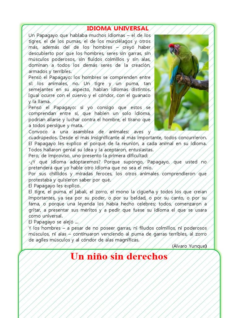 PLAN LECTOR cuarto grado 2024 | PDF